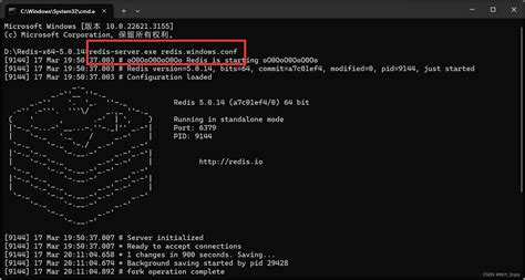 Ruoyi Vue（若依前后端分离版本）环境搭建 用idea 安装redis 后端配置 配置node环境 前端配置若依vus Csdn博客