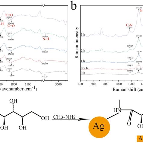 Ftir A And Raman B Spectra For Ag Nps At Different Reaction Times Download Scientific
