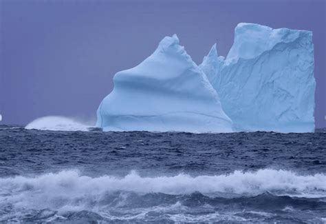 Iceberg Viewing In Newfoundland 2026 See Sight Tours