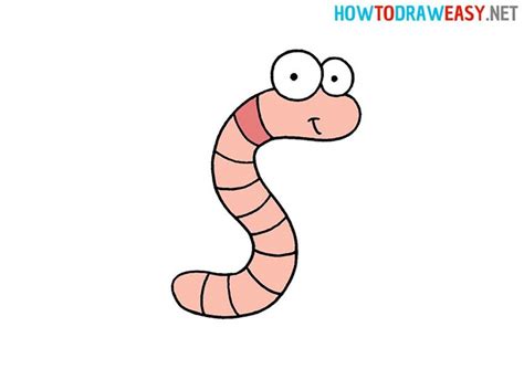 How To Draw Earthworm Step By Step