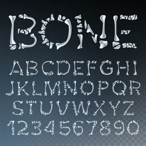 Bones Alphabet Bone Vector Images Over 1600
