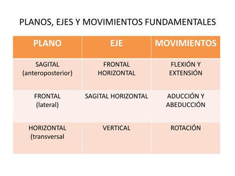 Ppt Kinesiologia Powerpoint Presentation Free Download Id 2247742