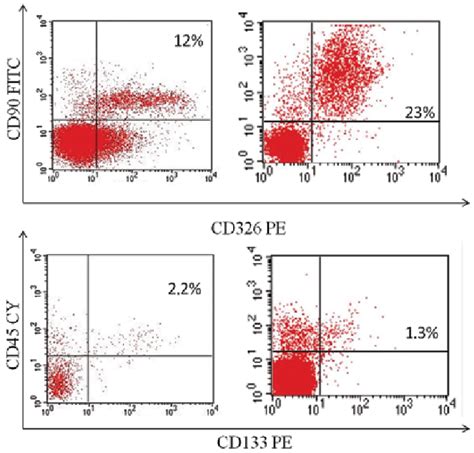 Cytometric Analyses Of Fresh Biopsy Samples Demonstrating Expression Of