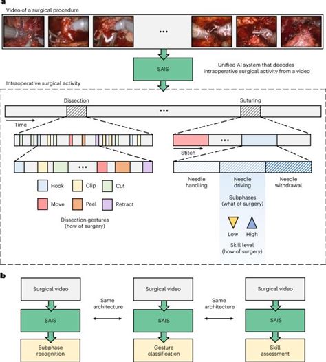 A Vision Transformer For Decoding Surgeon Activity From Surgical Videos Nature Biomedical
