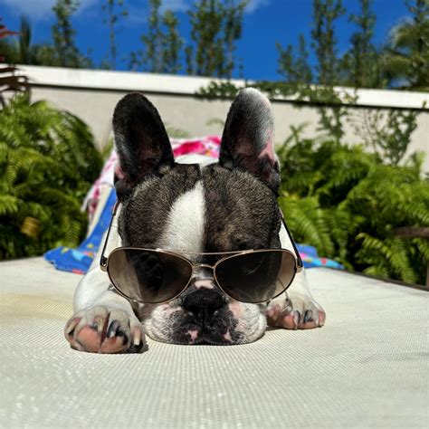 Isabelle Izzy Furry People Productions