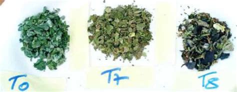 Aspects Of Spirulina Produced After Sun Drying From Left To Right