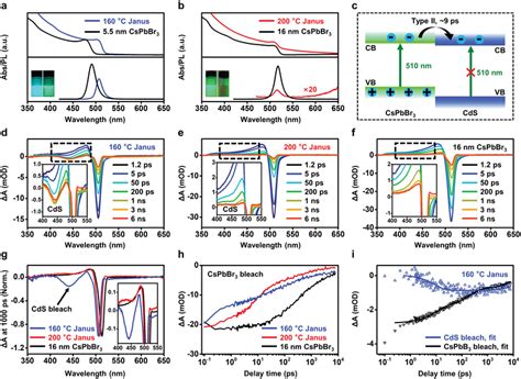 Steady State And Transient Optical Spectra Of Janus Ncs Ab