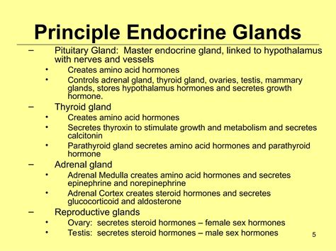 The Endocrine System System Endocrine Ppt Ppt
