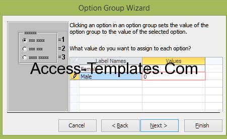 MS Access Option Group Multiple Selection Example Access Database And Templates