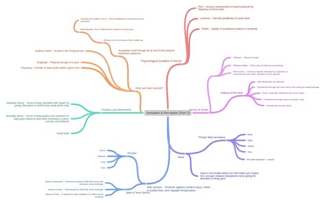 Sensation And Perception Part 2 Coggle Diagram