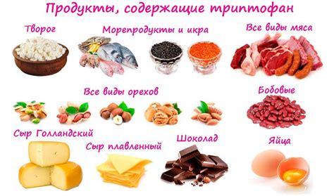 В каких продуктах содержится меланин: список продуктов богатых меланином