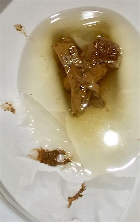 SOLID LOG DUMP ThisVid Com