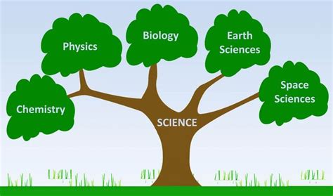 A Tree With The Words Science On It