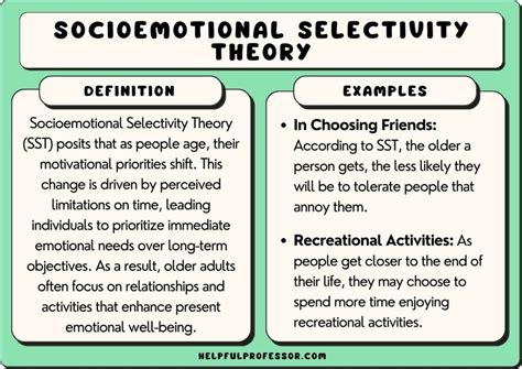 Socioemotional Selectivity Theory Definition And Examples 2024