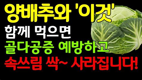 양배추와 함께 먹으면 보약되는 음식 3가지와 특급 레시피 뼈건강 지키고 위염 위궤양 속쓰림까지 싹 낫습니다 값비싼 영양제 대신 이것드세요 건강플러스tv