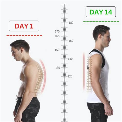 Posture Corrector Lulunami Posture Corrector Lulunami
