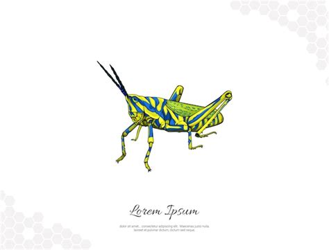 Graphic Grasshopper Images Free Download On Freepik