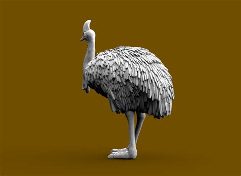 Artstation Cassowar Resources