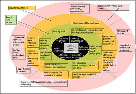 Theoretical Framework Of Obesity Prevention