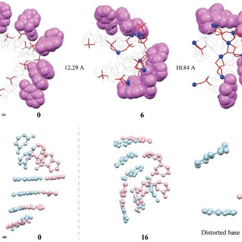 Side By Side Comparison Of Rna Duplex 4 7 Modeled With The Functional Download Scientific