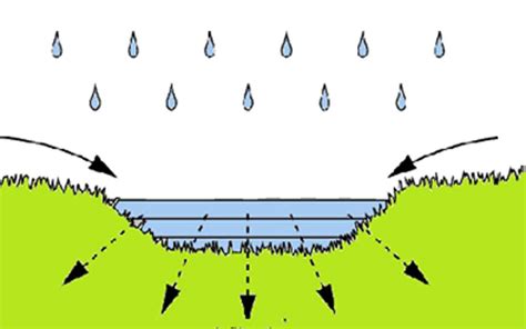 Infiltration The Key To Sustainable Water Management