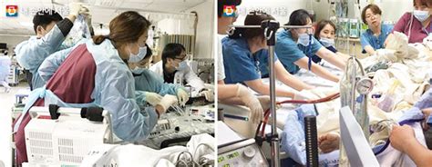 서울시 내 손안에 서울