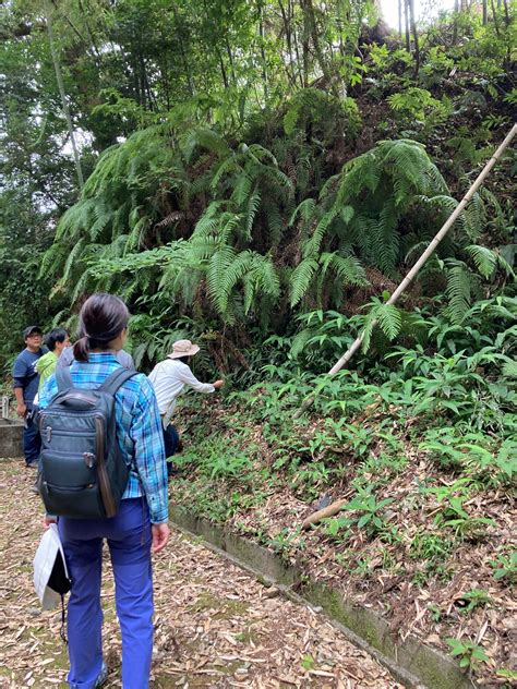 袋井宇刈流域の植物観察里山のある町角in袋井宇刈 浜松市の工務店なら入政建築注文住宅を自然素材で建てる