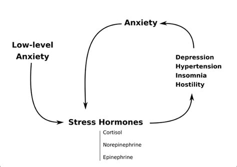 Hypervigilance What Too Much Situational Awareness Does To Your Brain