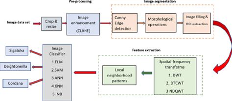 Methodology Of Fungal Disease Classification In Banana Download Scientific Diagram