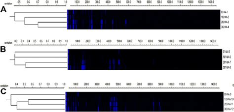 Pearson Correlation And Complete Linkage Clustering Analysis Of