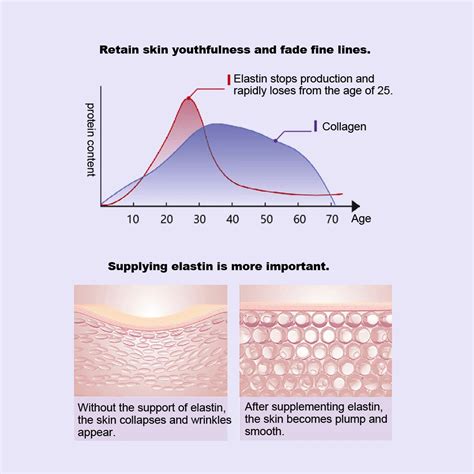 Elastin Peptide Fish Collagen With Elastin Bonito Cas 9007 58 3