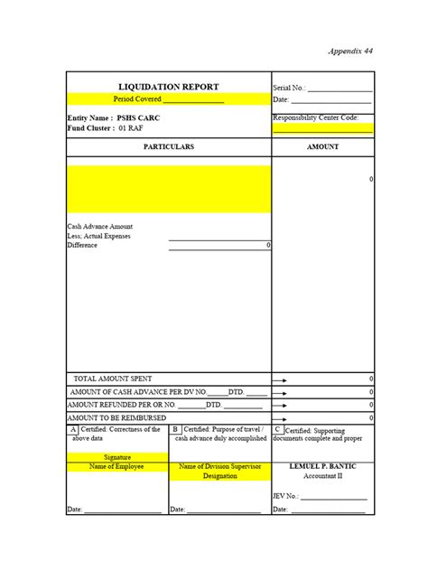 Liquidation Report Pdf
