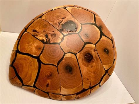 Turtle Shell Etsy