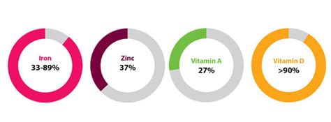 The Power Of Multiple Micronutrient Supplementation Optimizing Pregnancy Nutrition Plusplus