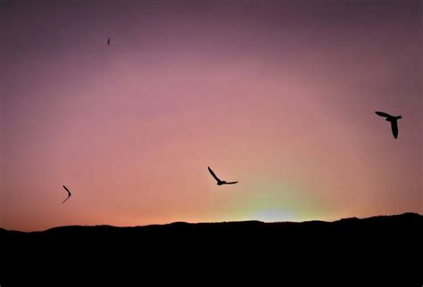 Merging Tmx Files Using Gnulinux Albucasis Specialty Translations