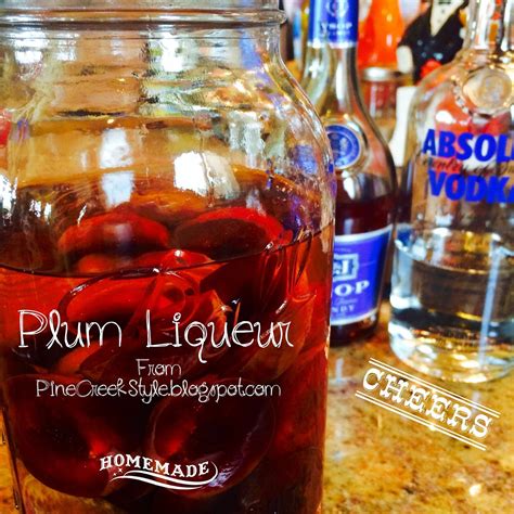 Pine Creek Style Plum Liqueur Homemade Plum Liqueur Recipes