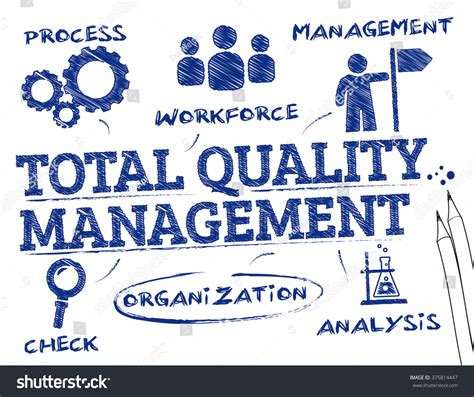 Total Quality Management Chart Keywords Icons Stock Vector Royalty Free 375814447 Shutterstock