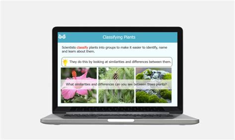 Classifying Plants Classifying Plants