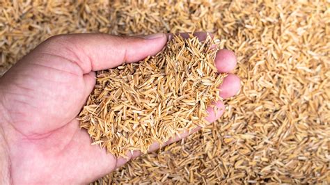 How And Why To Use Rice Hulls In The Garden