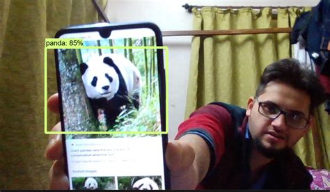 Github Cmdtausifanimal Detection Using Tensorflow Object Detection Api Various Animal