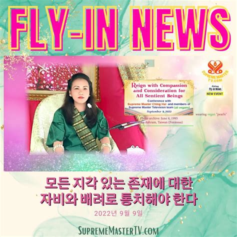 주목할뉴스 플라이인 뉴스 Supreme Master Tv Korean 수프림 마스터 Tv