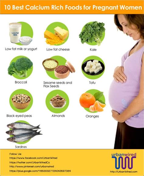 Urban Wired Food For Pregnant Women Calcium Rich Foods Healthy