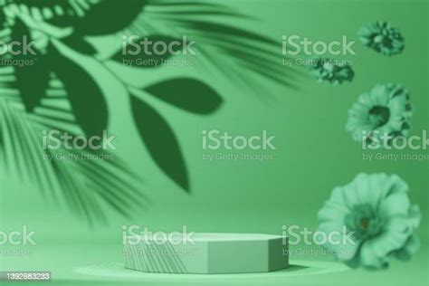 프레젠테이션 3d 렌더링을 위한 그림자가 있는 빈 디스플레이 3차원 형태에 대한 스톡 사진 및 기타 이미지 3차원 형태 꽃
