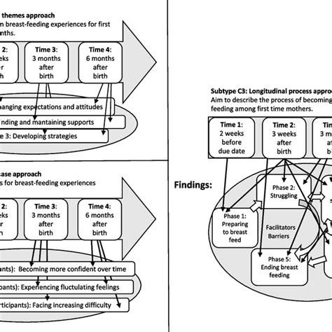 A Schematic Figure Of What Aim Longitudinal Data Collection And Download Scientific Diagram