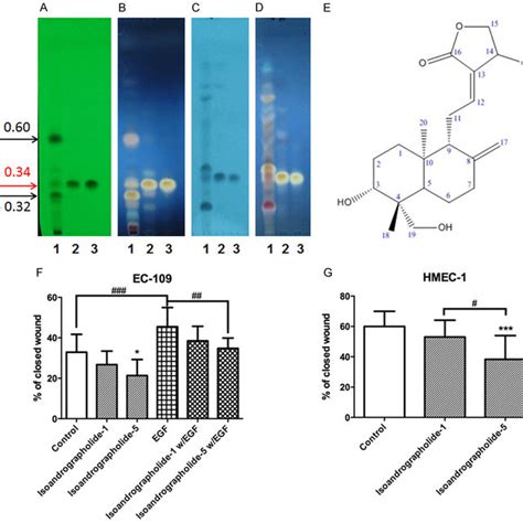 A Dried Herb Of Andrographis Paniculata B The Tlc Chromatogram Of Ap