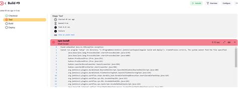 Nodejs Sh Npm Install Cmd Not Working In Jenkins Pipeline Note