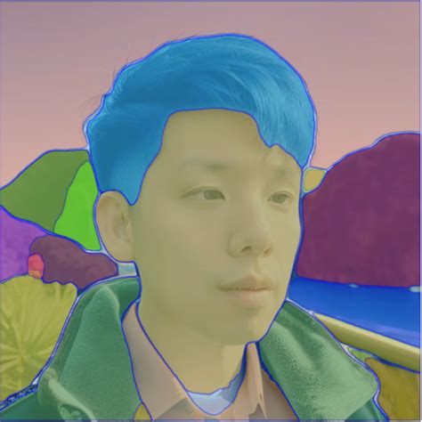 Sam A Zero Shot Image Segmentation Model For Promptable Segmentation