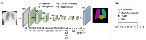 The Segmentation Network Architecture A Fully Convolutional Network