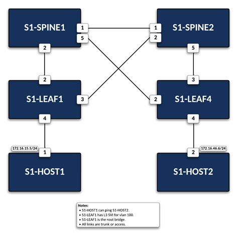 Media STP And SVI Arista ATD Lab Guides