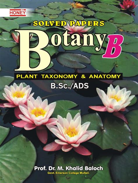 Botany B Solved Papers Honey Books